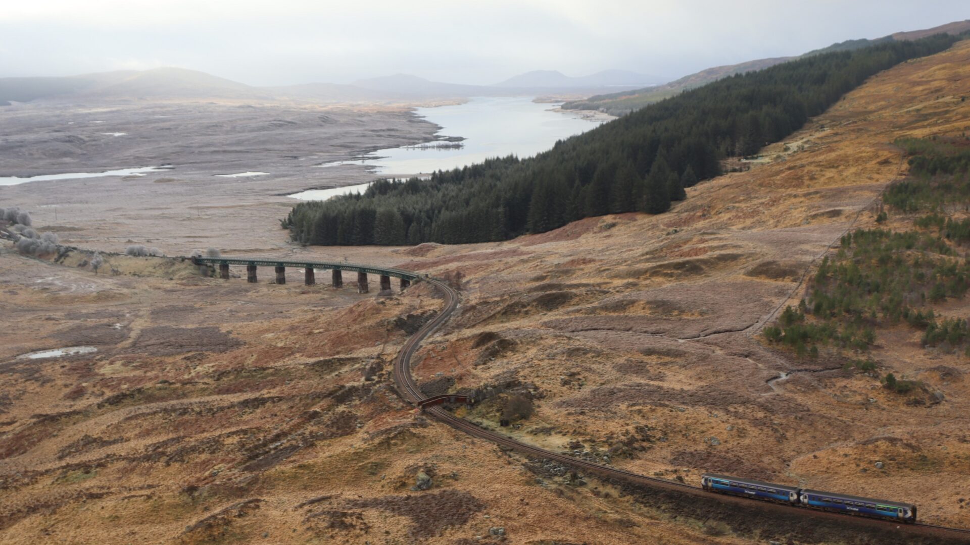 ScotRail and Network Rail strengthen Alliance for a Greener, More ...